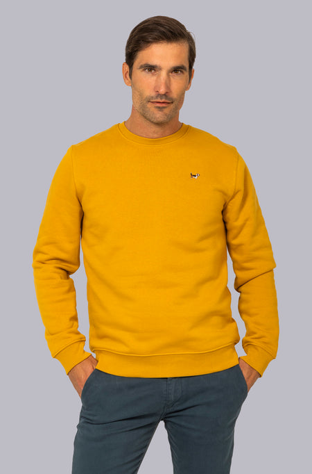 Ropa – Albert Brandon